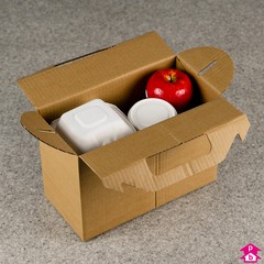 Large Cardboard Carry Box (6.1 litre) - 265mm long x 128mm wide x 180mm ...