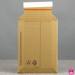 M2 Expandable Cardboard Envelope - 239mm wide x 325mm long (flat ...