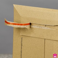 M4 Expandable Cardboard Envelope - 324mm wide x 382mm long (flat ...