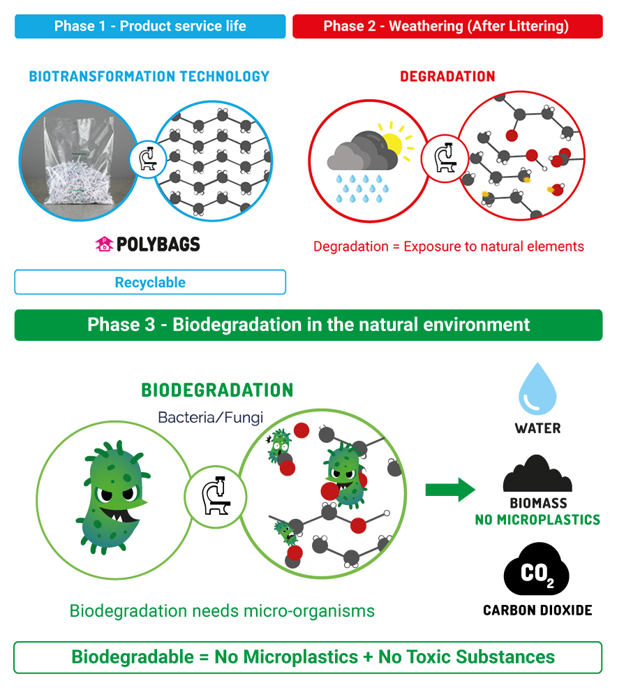 Biotransformation Bags from Polybags
